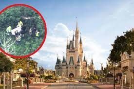Cerraron un parque de Disney por una osa suelta