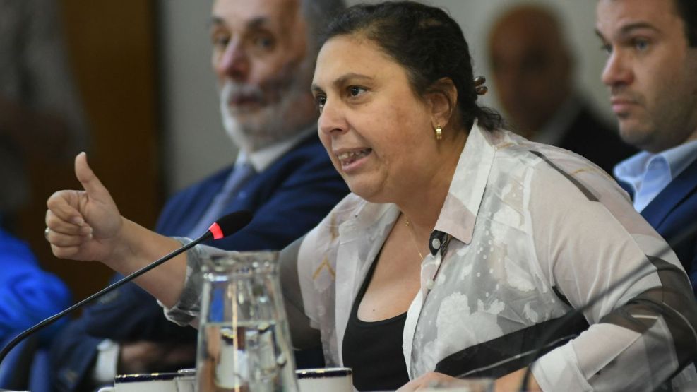 Paula Oliveto: "Mauricio Macri creía que iba a ser el guía de Milei y ...
